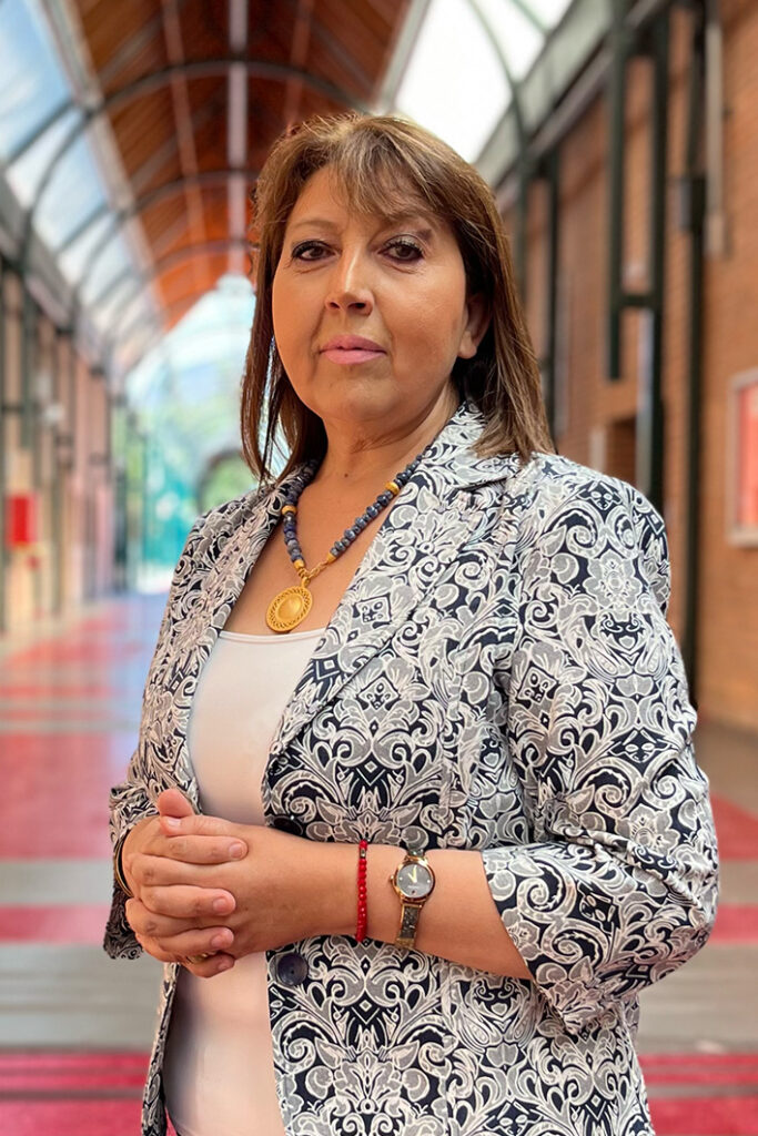 ORGANIZACIÓN INSTITUCIONAL - Colegio Coya